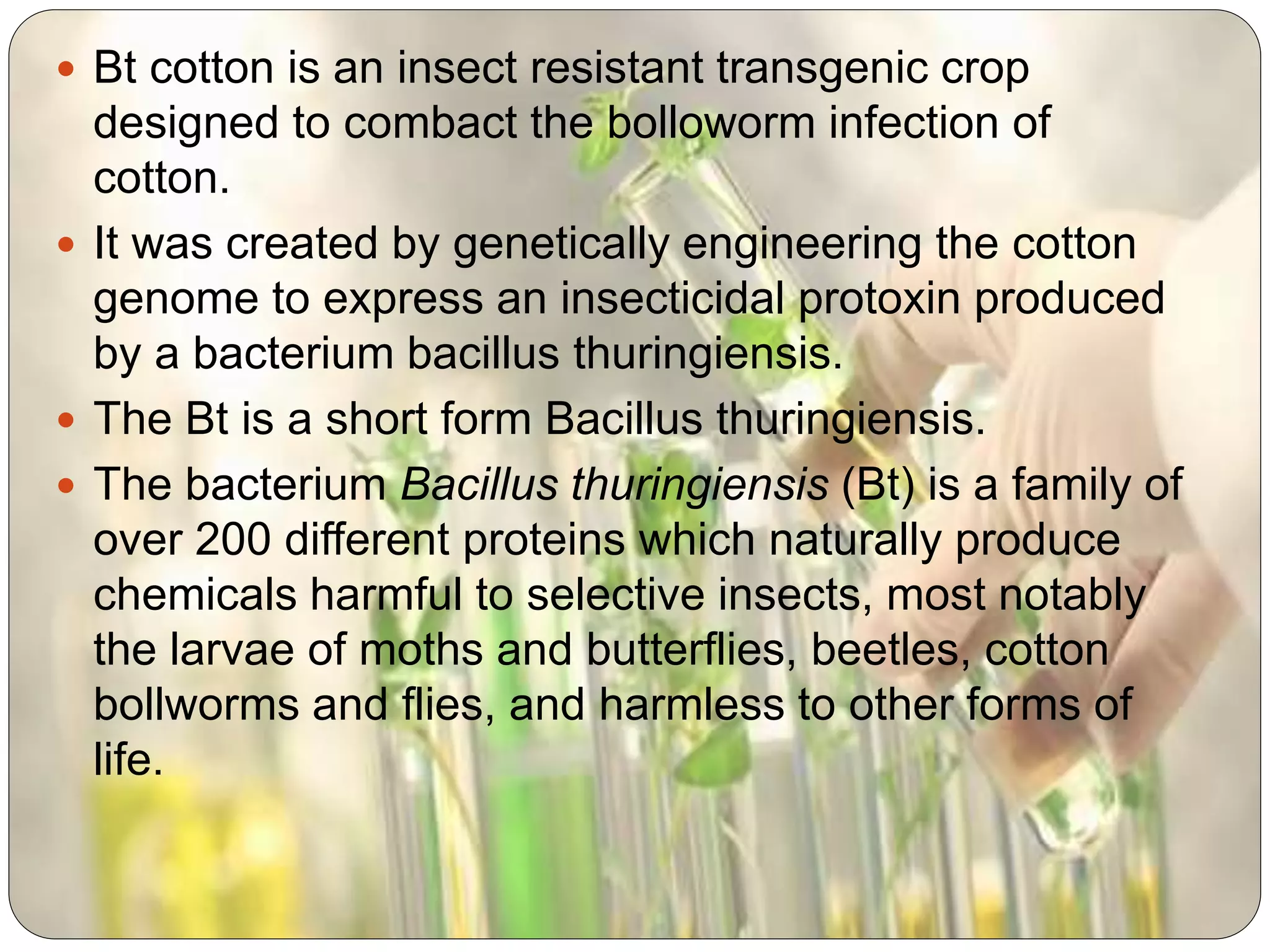 genetic modified crops | PPTX