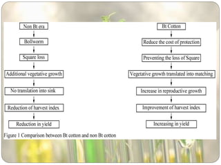 genetic modified crops | PPT