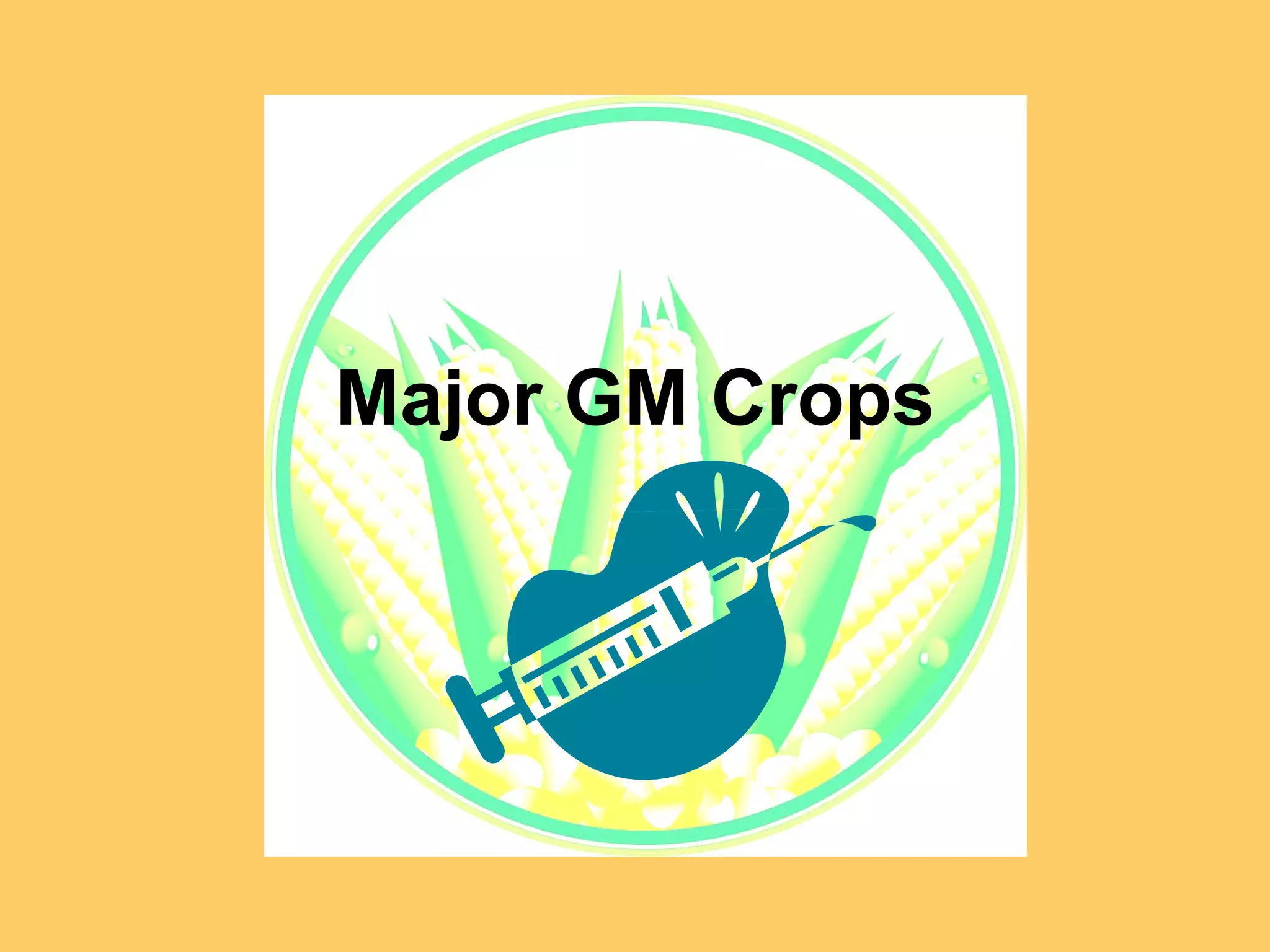 Major Genetically Modified Crops | PPT | Agriculture | Industries