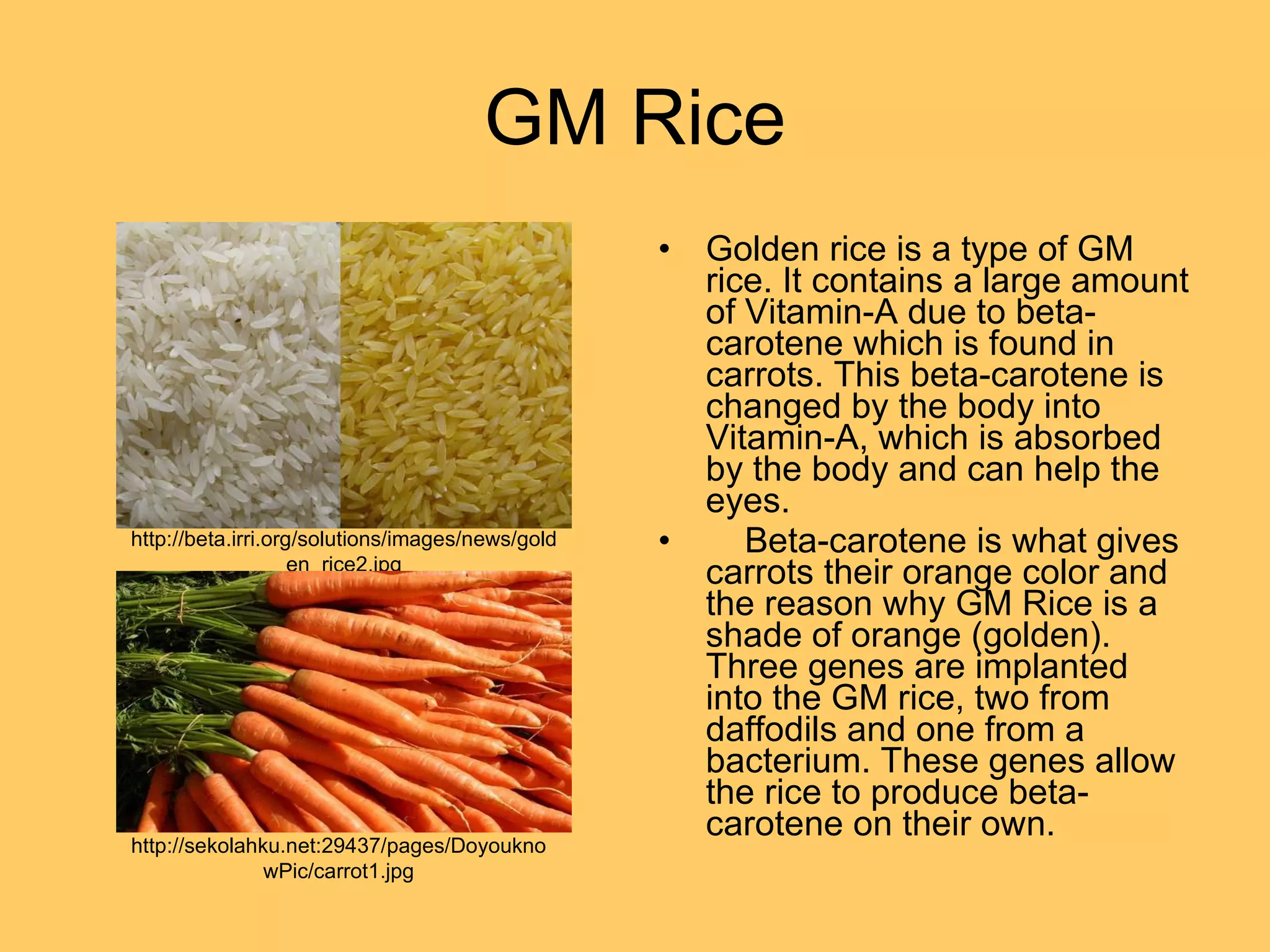 Major Genetically Modified Crops | PPT | Agriculture | Industries