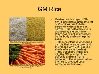 Major Genetically Modified Crops | PPT | Agriculture | Industries