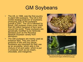 Major Genetically Modified Crops | PPT