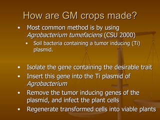 Gm crops | PPT