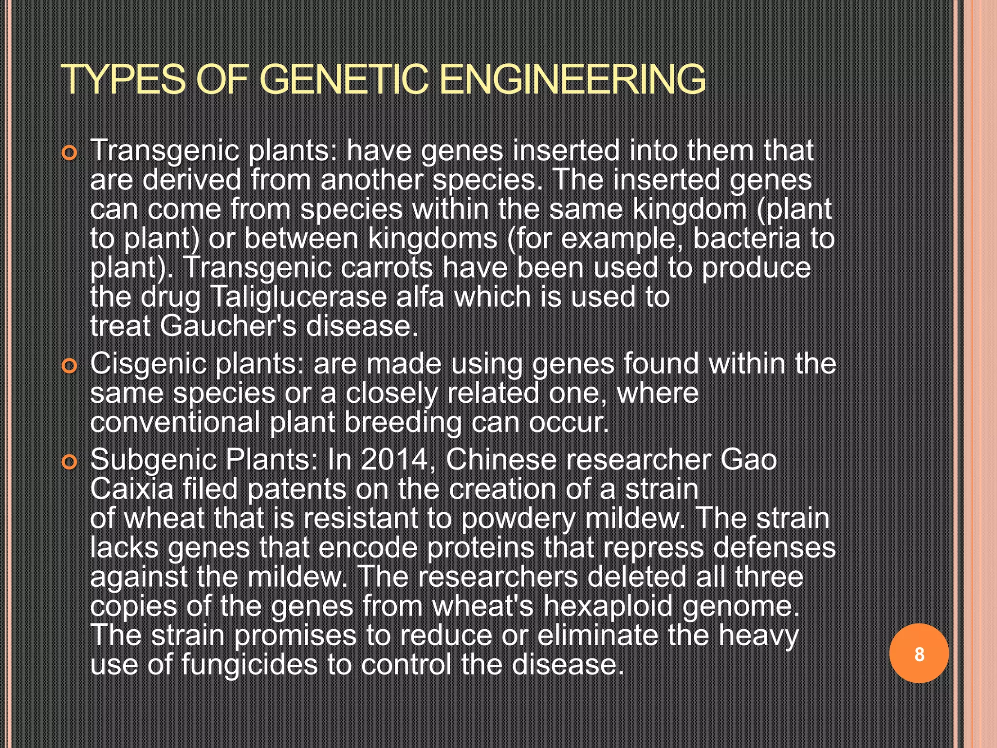TRANSGENIC CROPS | PPTX