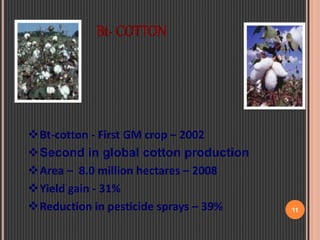 TRANSGENIC CROPS | PPTX
