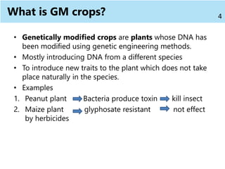 Gm crops | PPTX