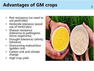 Gm crops | PPTX