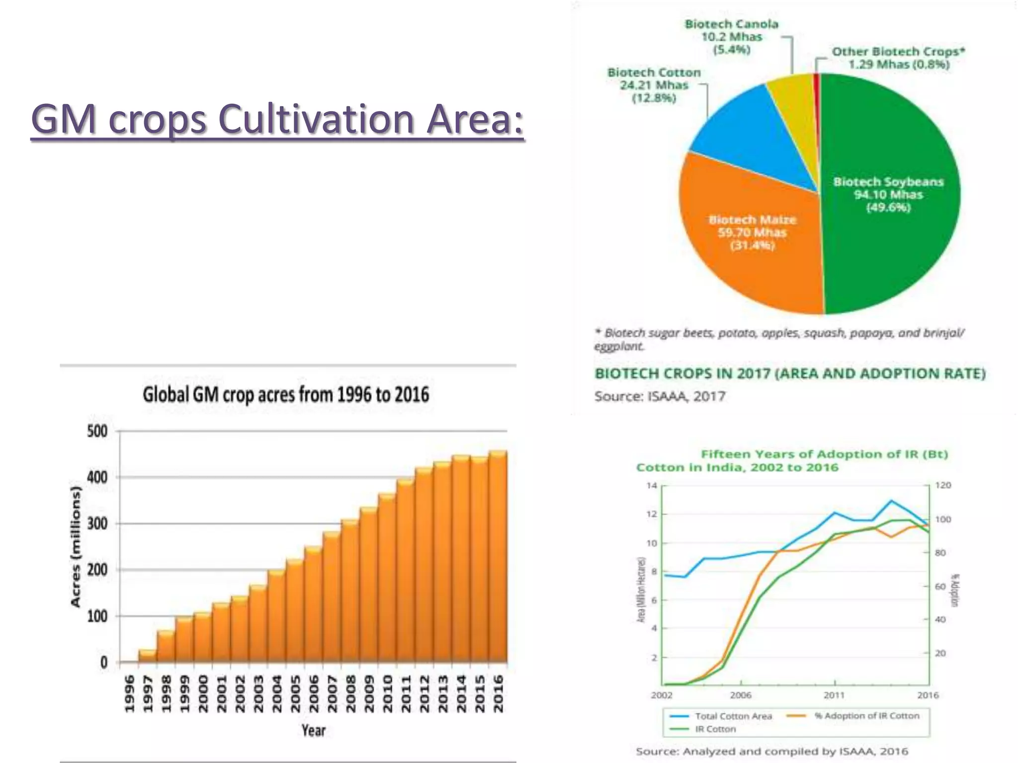 Gm crops and its environmental feasibilty | PPTX