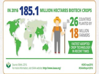 Gm crops and its environmental feasibilty | PPTX