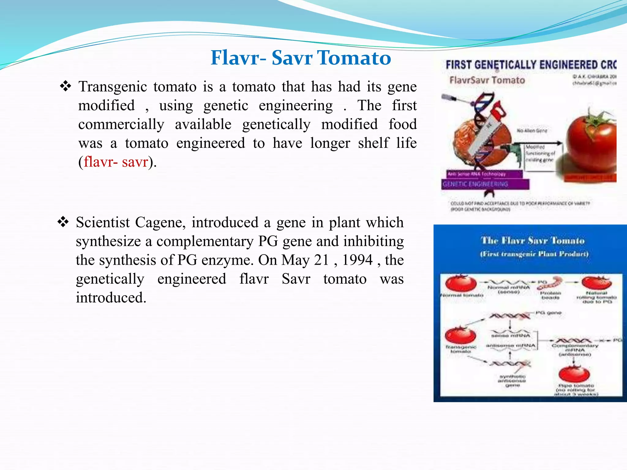 Genetic Engineering in Insect Pest management | PPT