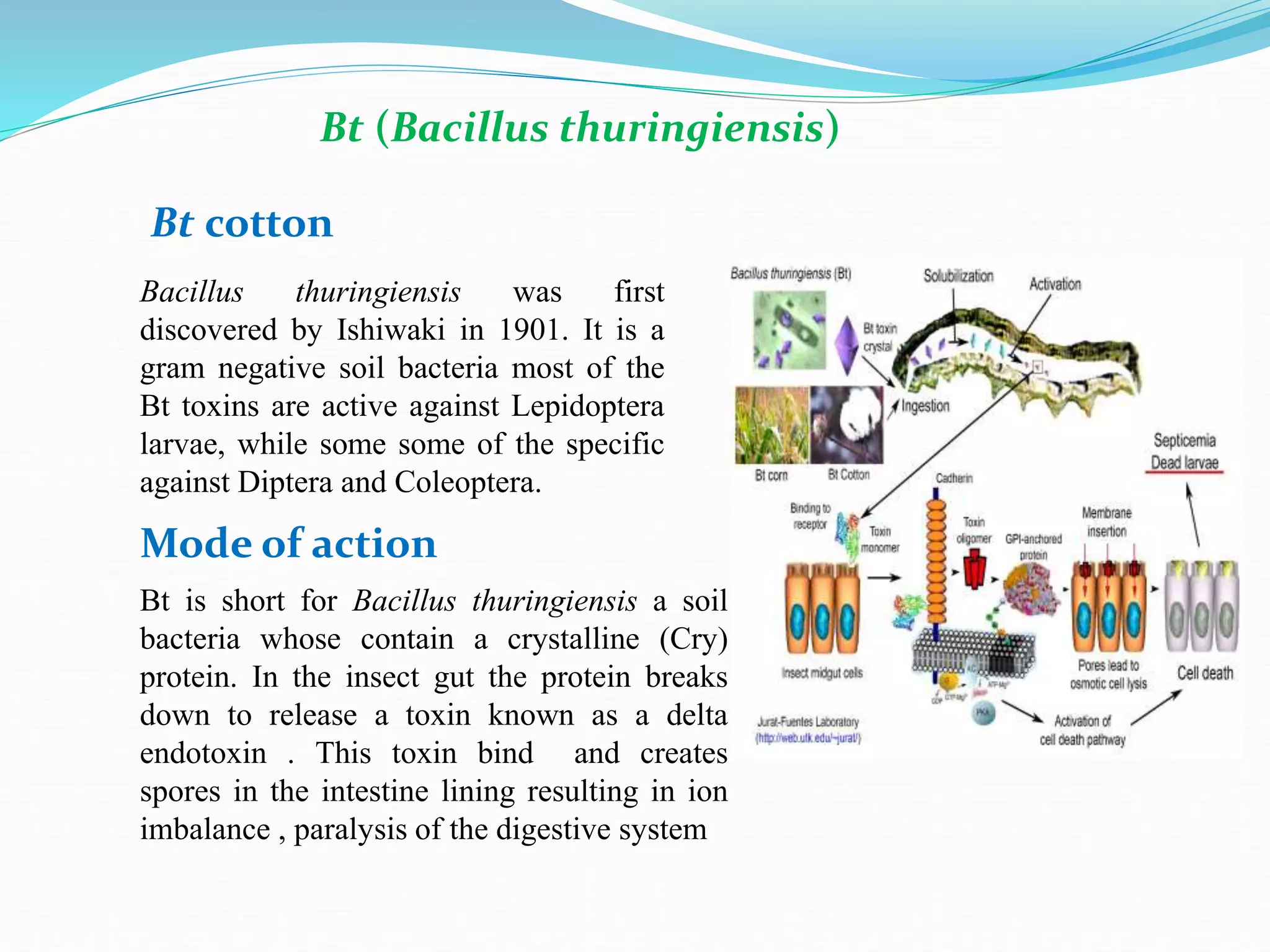 Genetic Engineering in Insect Pest management | PPT