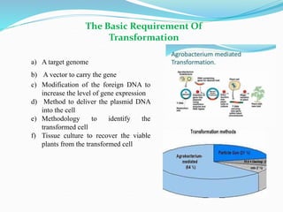 Genetic Engineering in Insect Pest management | PPT