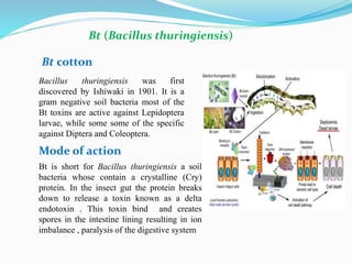 Genetic Engineering in Insect Pest management | PPT