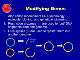 GMcropsPPTMinhLiu (1).ppt Gm crops genetic | PPT