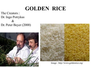 Genetically Modified Crops SMG | PPTX