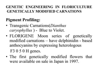 Genetically Modified Crops SMG | PPTX