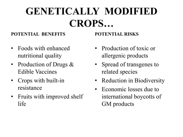 Genetically Modified Crops SMG | PPTX