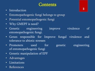 Genetically modified entomopathogenic fungi | PPTX