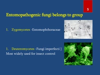 Genetically modified entomopathogenic fungi | PPTX