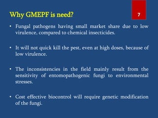 Genetically modified entomopathogenic fungi | PPTX