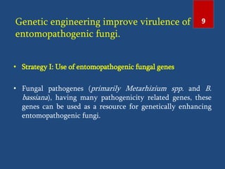 Genetically modified entomopathogenic fungi | PPTX