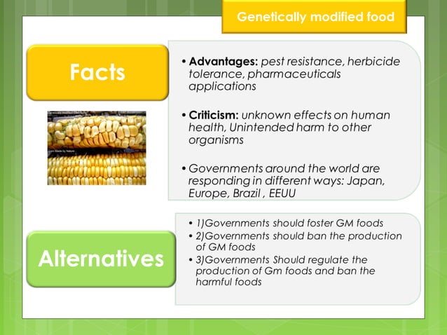 Genetically Modified Food | PPT