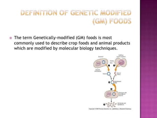 powerpoint presentation | PPTX