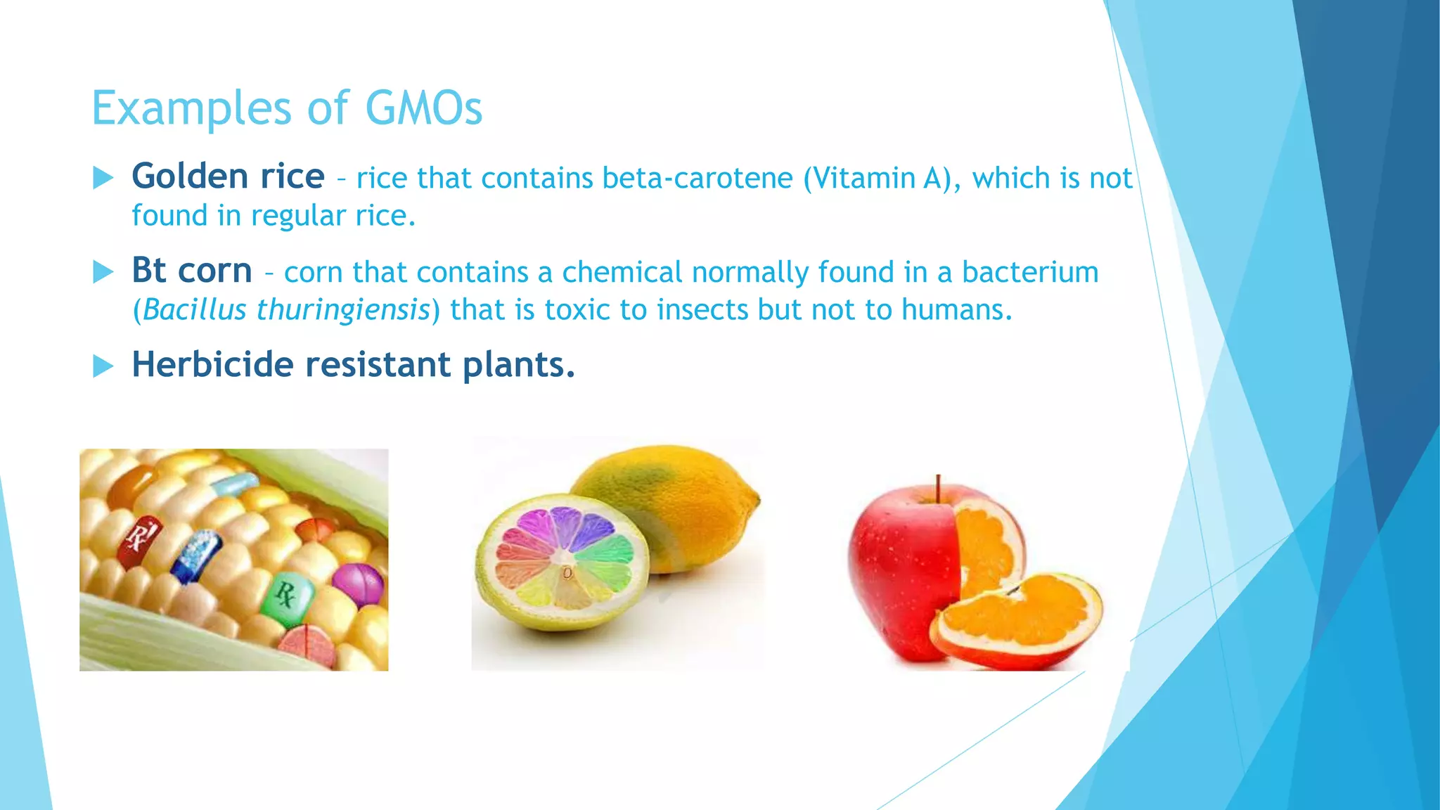 Gm foods | PPT