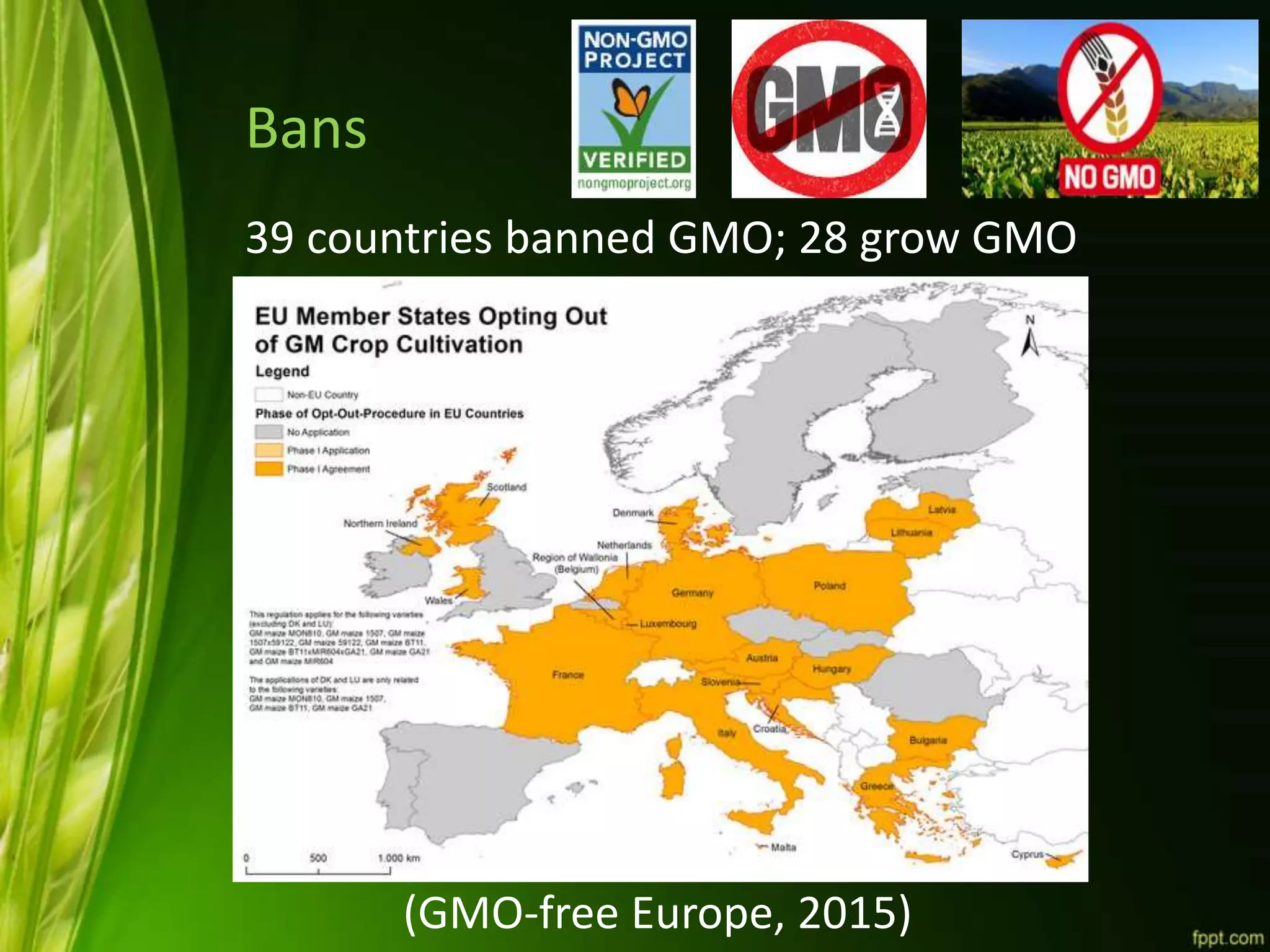 Genetically Modified (GM) foods presentation (2016) | PPTX