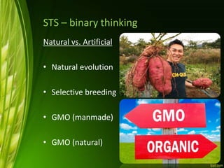 Genetically Modified (GM) foods presentation (2016) | PPTX