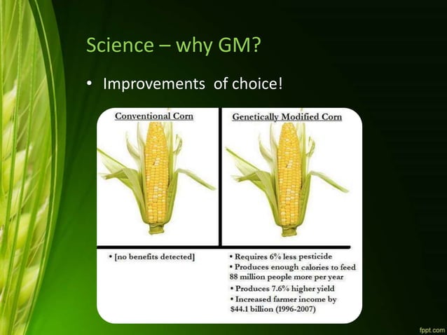 Genetically Modified (GM) foods presentation (2016) | PPTX