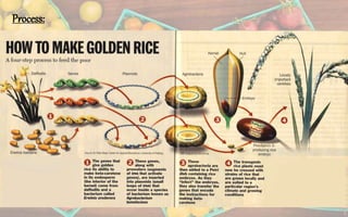 Genetically modified foods, Labelling | PPTX