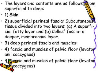 Perineum, ischioanal fossa, pudendal canal, urogenital diaphragm | PPT