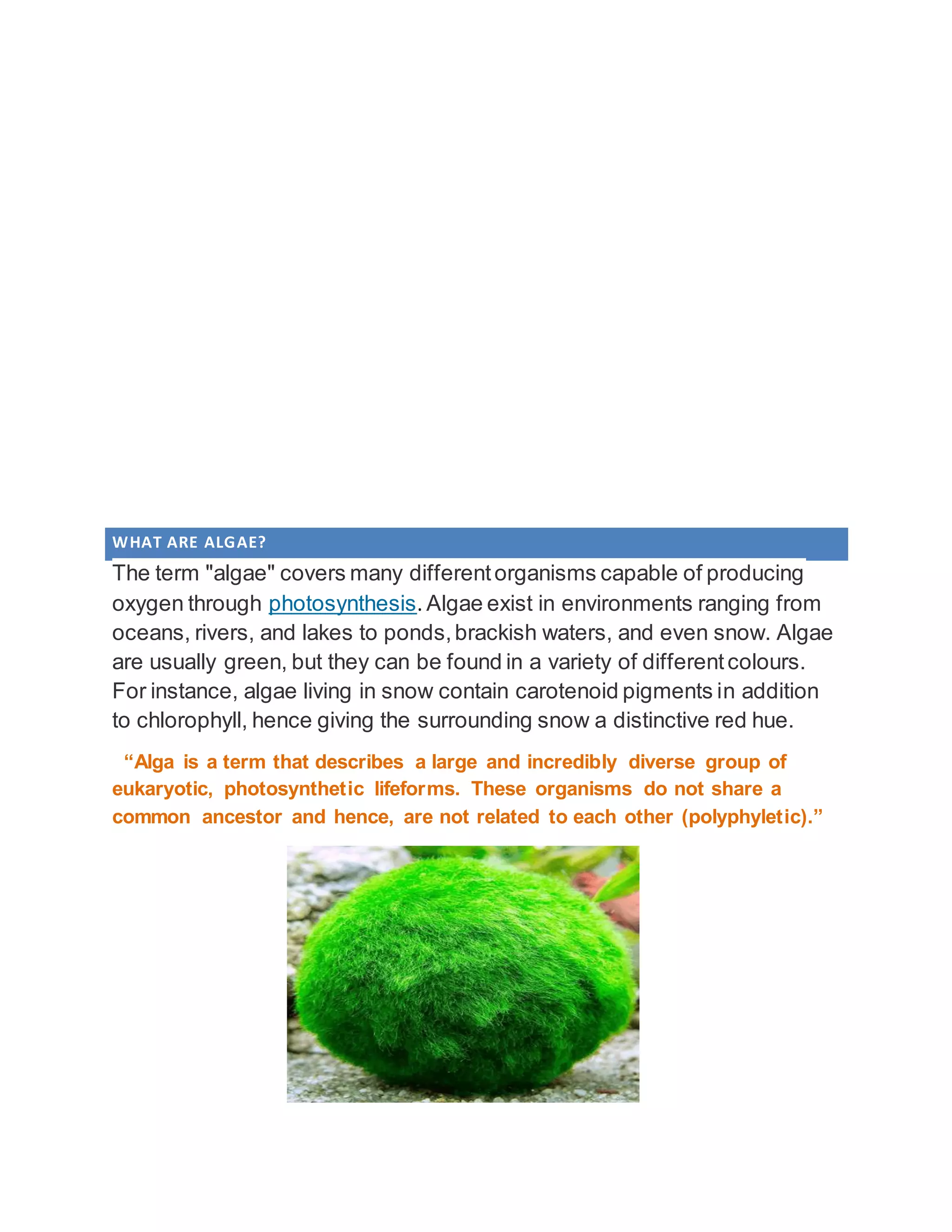 What are Algae: Biological and economic importance of algae ...