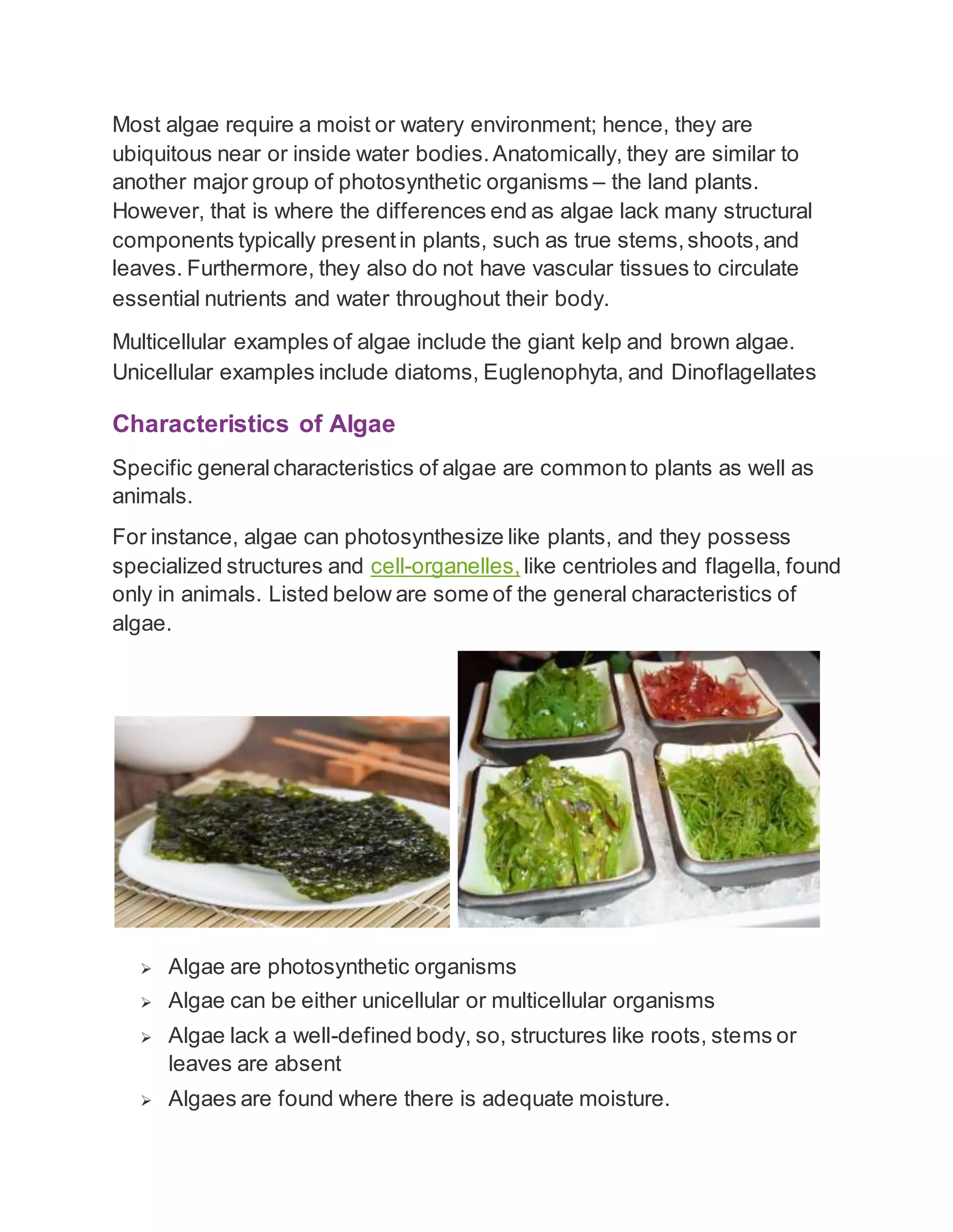 What are Algae: Biological and economic importance of algae; Characteristics of algae….? | DOCX ...
