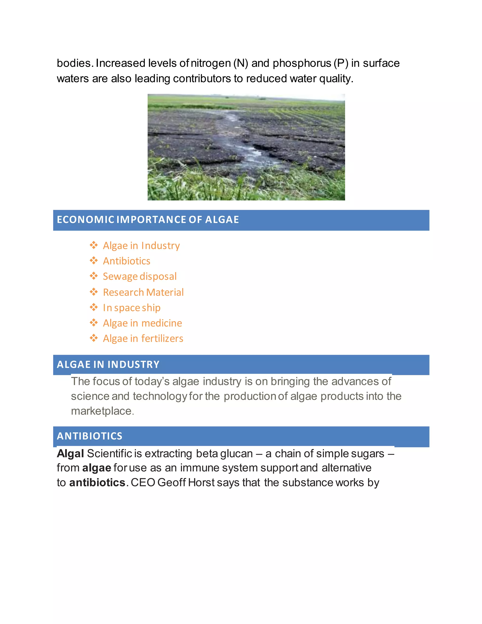 What are Algae: Biological and economic importance of algae ...