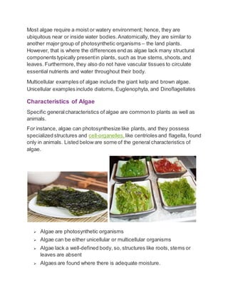 What are Algae: Biological and economic importance of algae ...