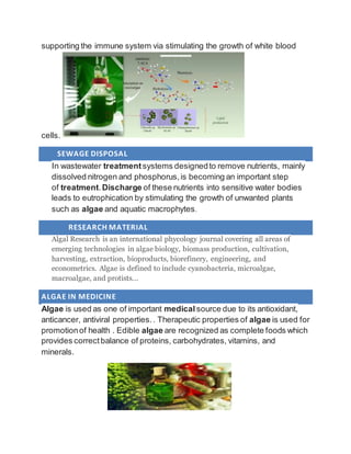 What are Algae: Biological and economic importance of algae ...