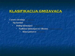 Gmizavci | PPT