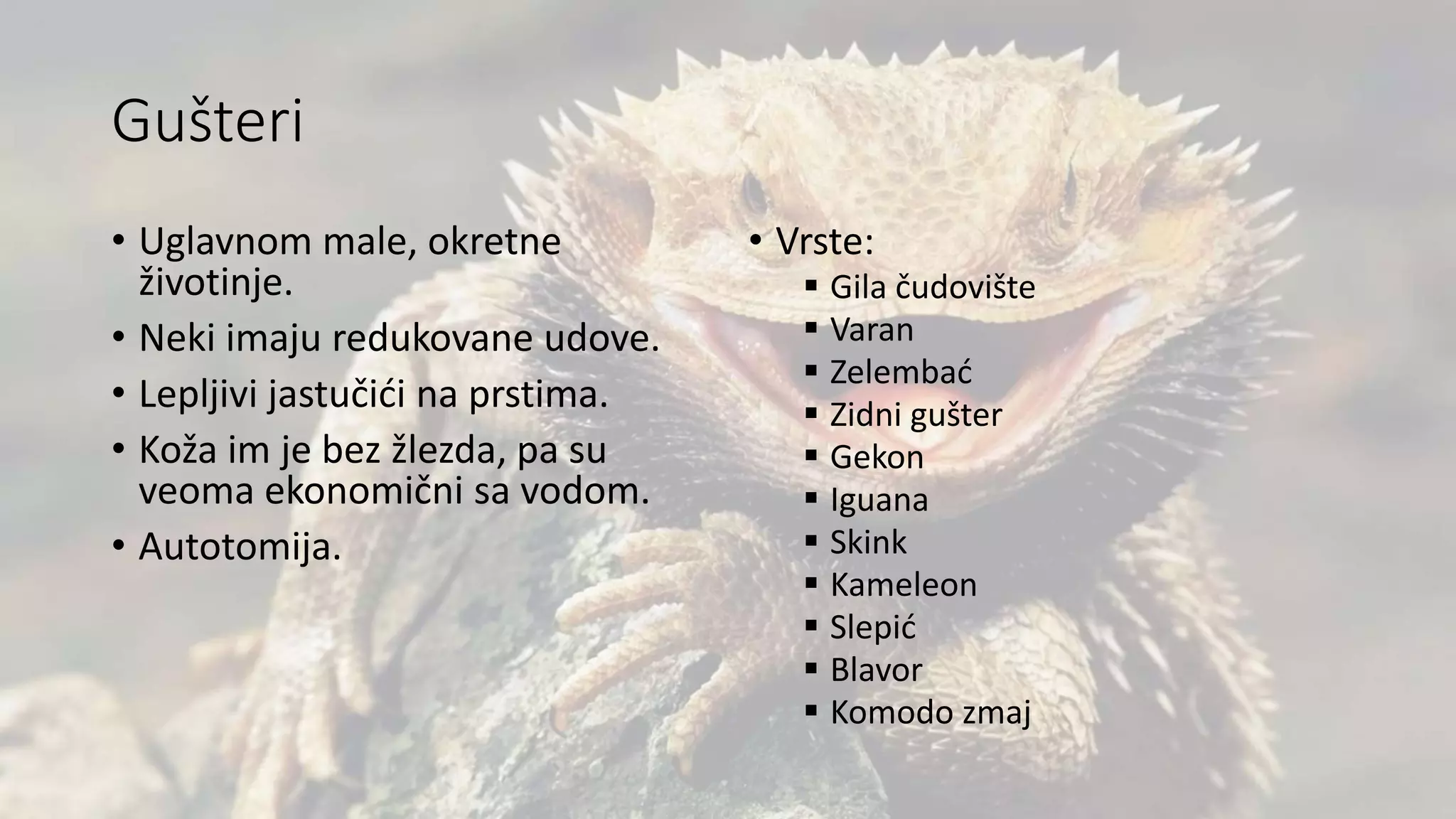 Gmizavci, građa, raznovrsnost i značaj | PPTX
