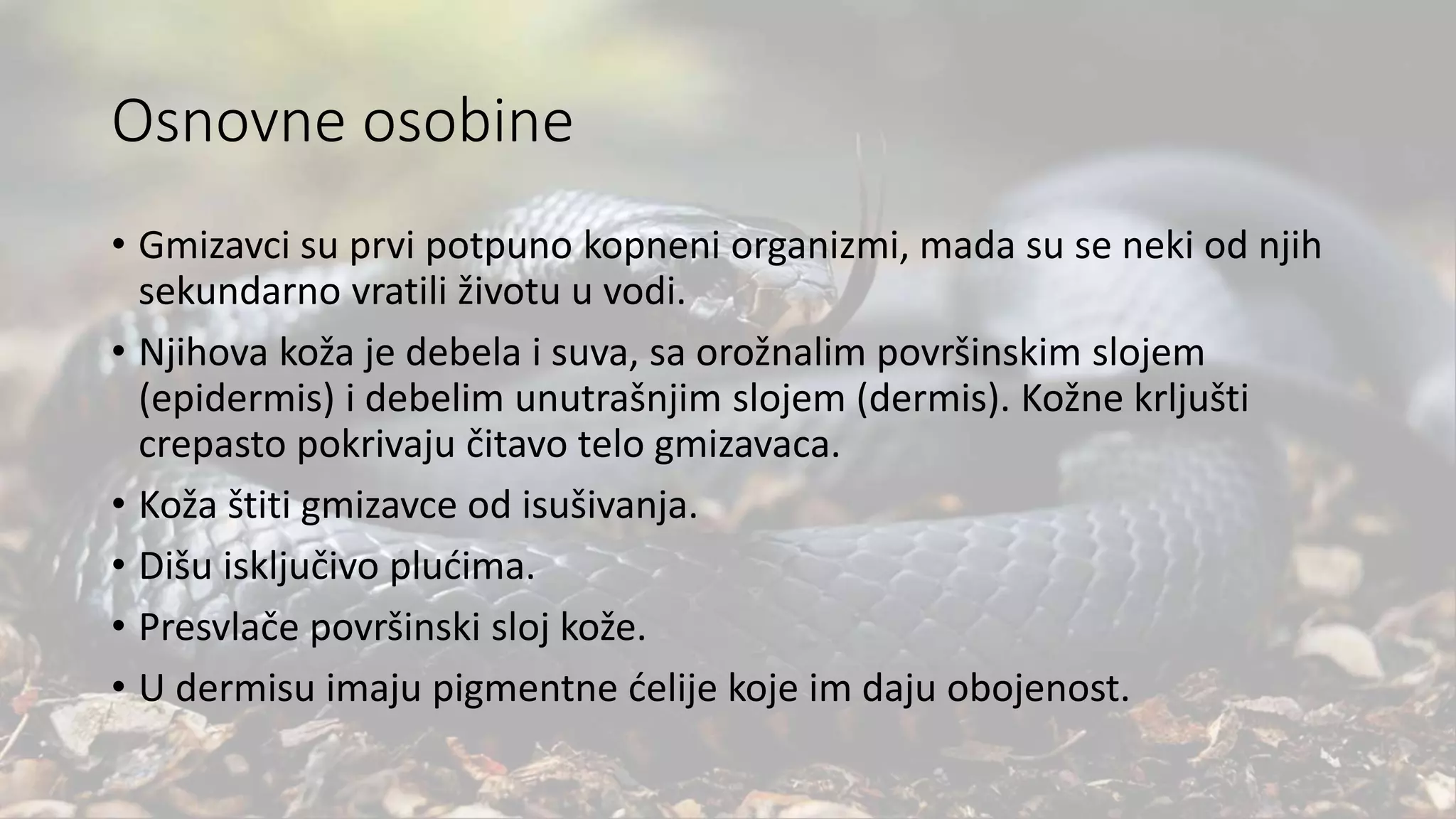Gmizavci, građa, raznovrsnost i značaj | PPTX