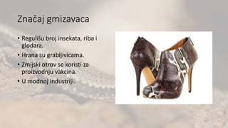 Gmizavci, građa, raznovrsnost i značaj | PPTX