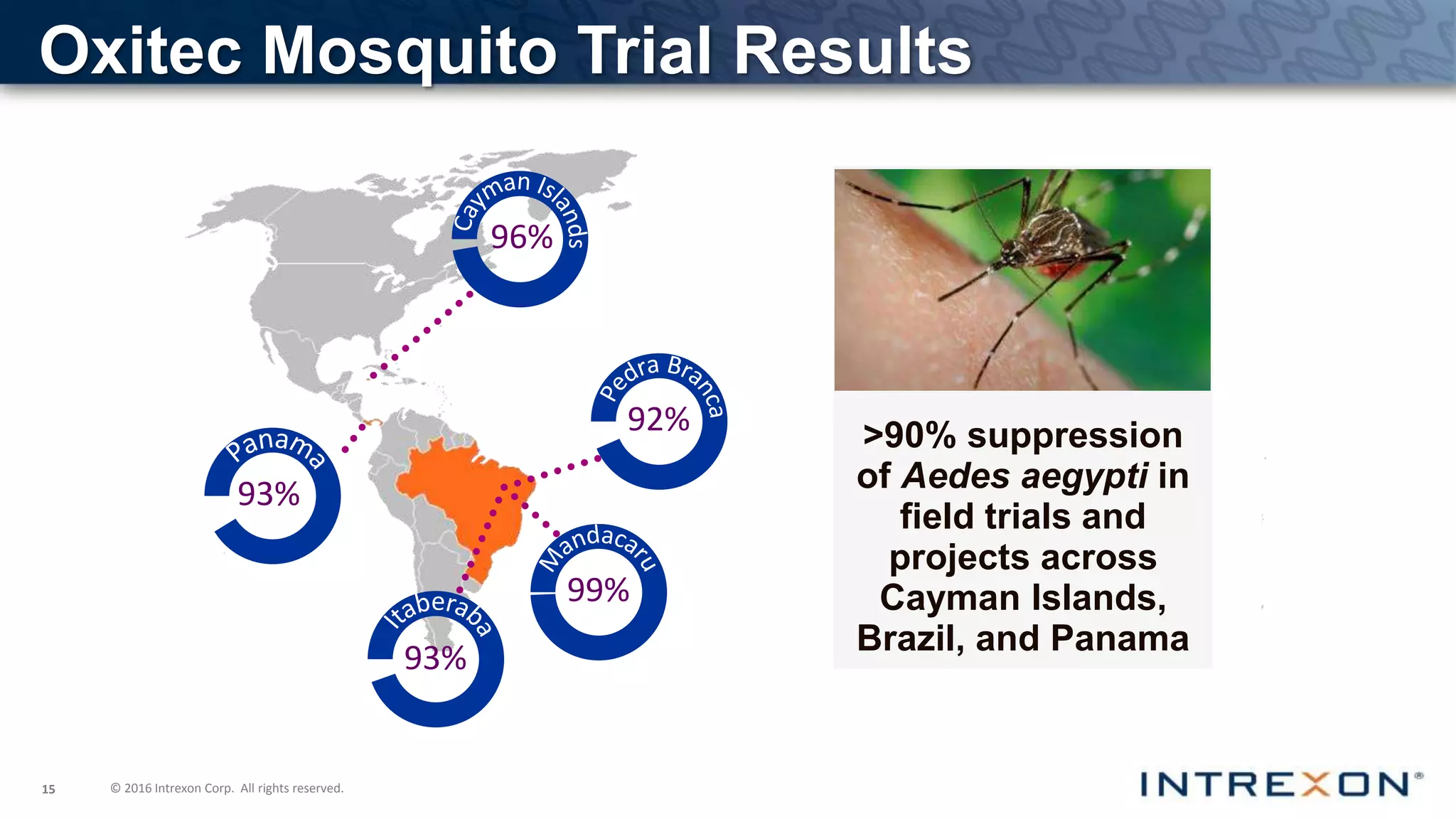 Genetically Modified Mosquito | PPTX