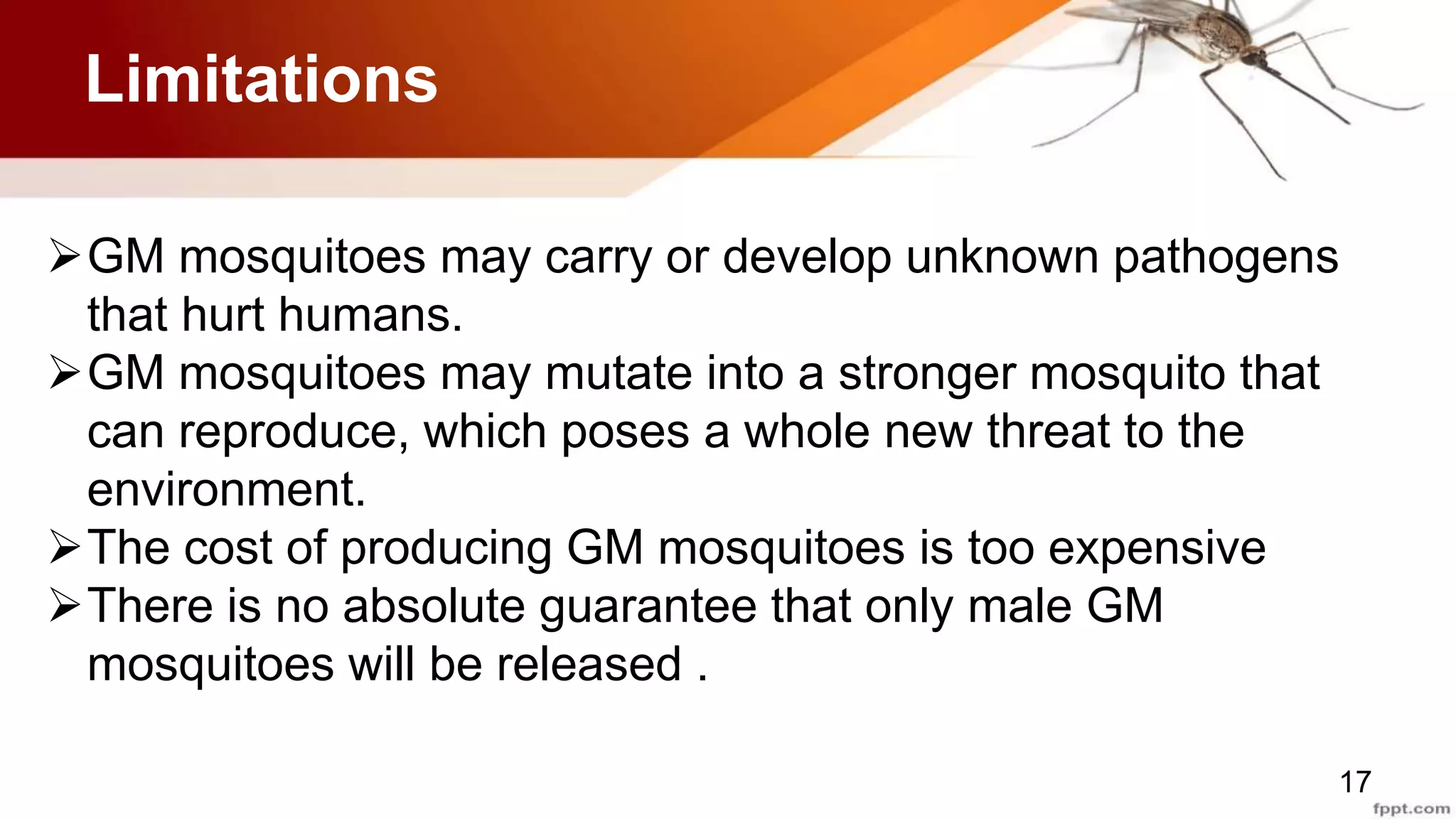 Genetically Modified Mosquito | PPTX
