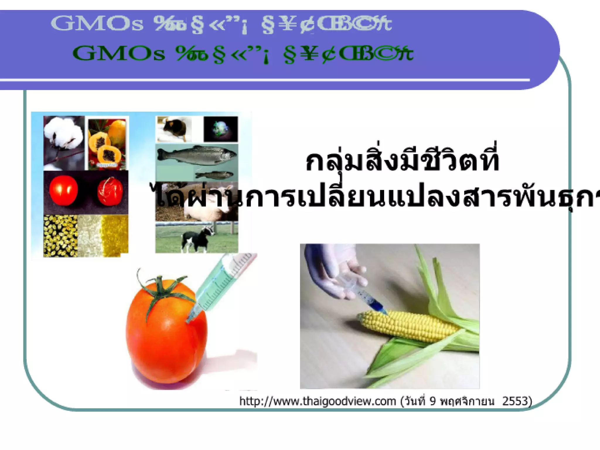 Gmo | PPT