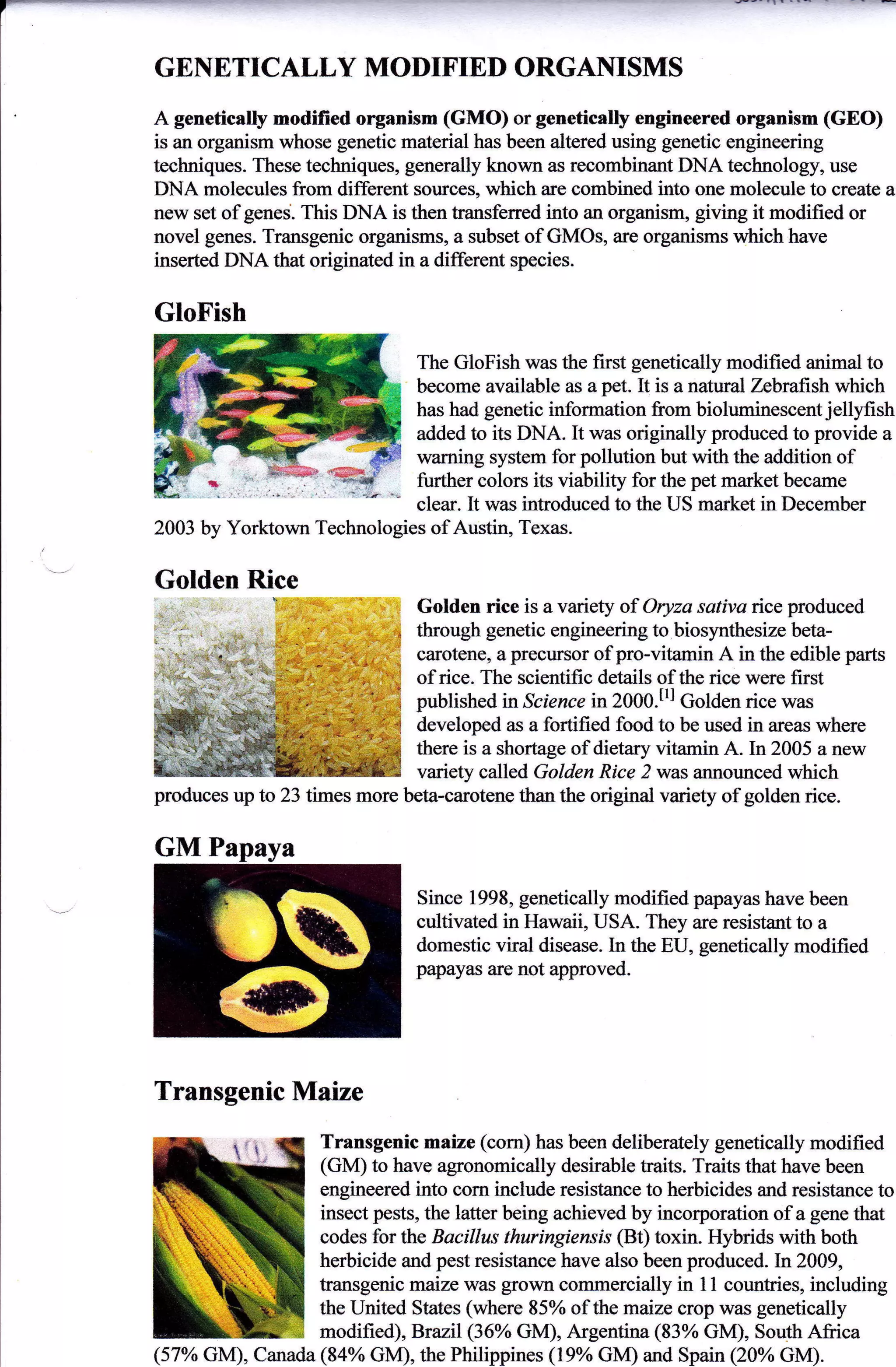 Genetically Modified Organism | PDF