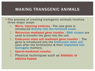 GENETICALLY MODIFIED ORGANISMS | PPSX