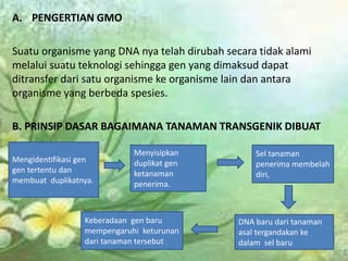 Bioteknologi_GMO_S2_Awari_susanti. | PPTX