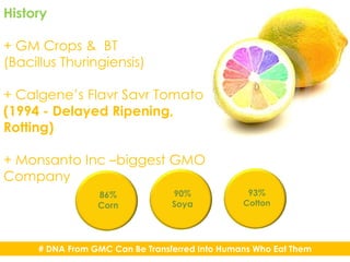 Understanding Genetically Modified Food (GMO) | PPTX
