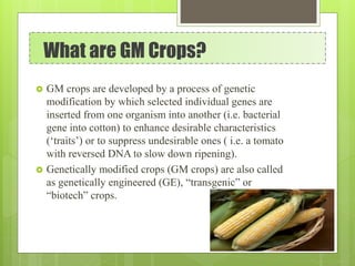 Genetically modified crops | PPTX